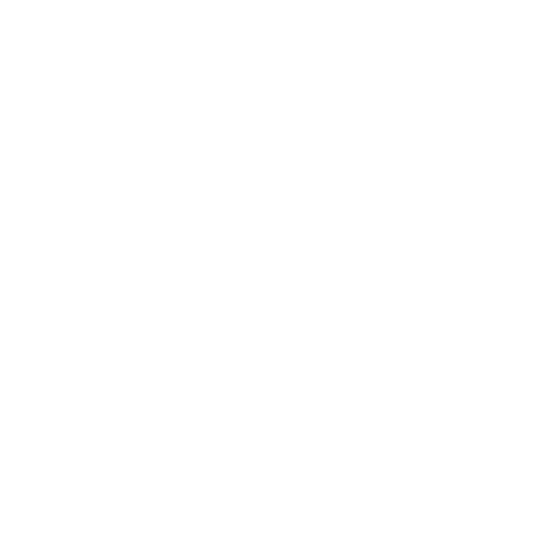 Wolfstation DSA Program